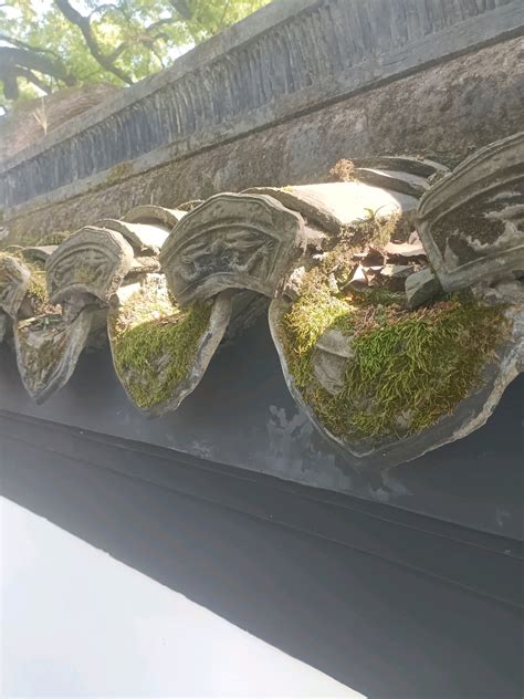 风景随拍4 哔哩哔哩