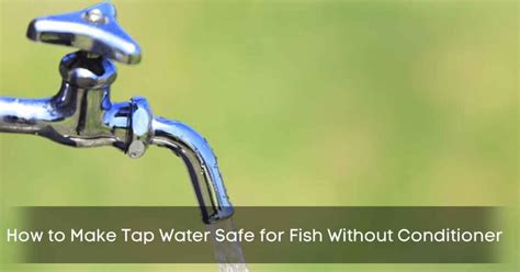 How To Make Tap Water Safe For Fish Without Conditioner No More Chemicals