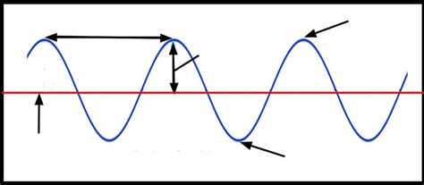 Labeling Parts Of A Transverse Wave Diagram Quizlet