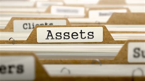 Asset Searches Investigation Services
