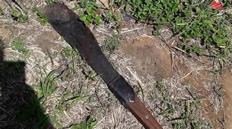 Man Hacks Rapist To Death With Machete After Halting Attack On