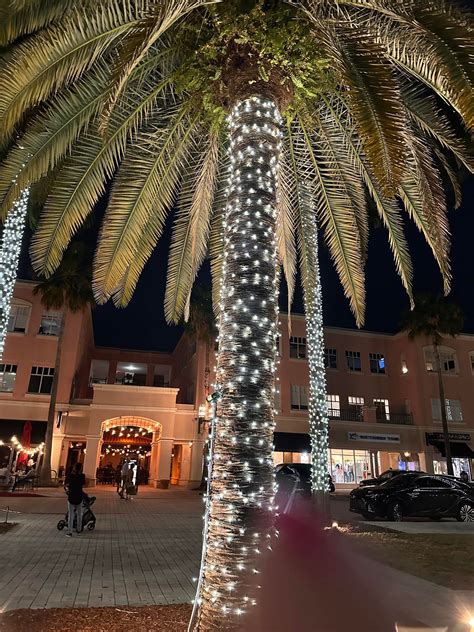 Deb Farris Kake Deb Farris Kake Added A New Photo