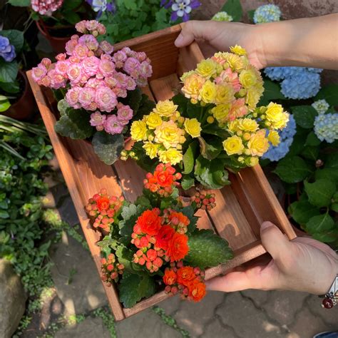 中崧經貿有限公司 好康優惠好康優惠 點進來看看😊 組合系列 收納箱大中 柚木色