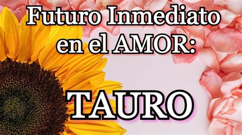 Tauro Futuro Inmediato Amor 💓💖😍💖💖 Youtube