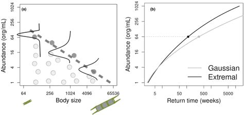 Schematic Representation Of The A Size‐abundance Distribution Showing
