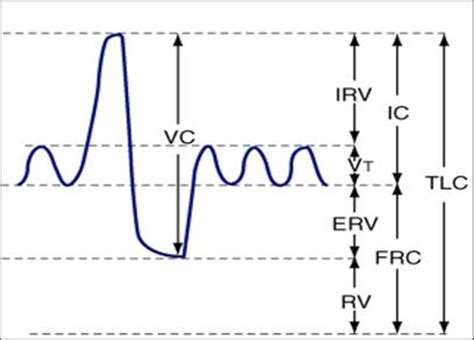 Pulmonary Function Testing Pulmonology Advisor