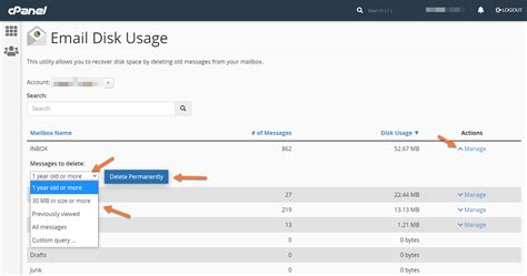 how to use email disk usage in cpanel chemicloud kb
