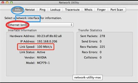 How To Check The Associatedlink Speed On A Wired Client Tp Link