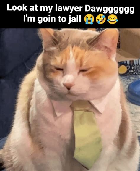 Hes Soo Eepy Rcatmemes