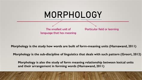 Morphologypdf