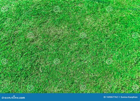 Top View Of An Area Covered With Green Grass For A Sports Court
