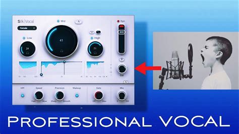How To Make Vocals Sound Professional Fl Studio Tips Hindi Youtube
