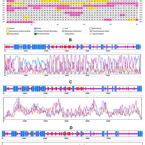 Prediction Refinement And Validation Of The Tertiary Structure Of Download Scientific Diagram