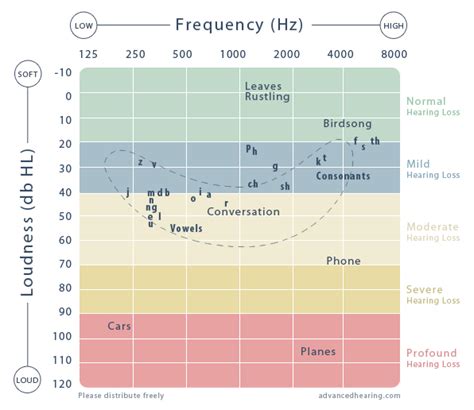 The Audiogram Explained Advanced Affordable Hearing