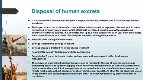 Sanitation And Public Health Microbiology Pptx