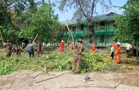 ကျောက်ဖြူမြို့တွင် မိုခါမုန်တိုင်းတိုက်ခတ်မှုကြောင့် ကျိုးကျနေသည့် သစ