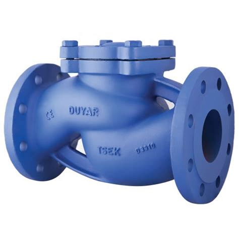 Check Valve With Spring Pn 16 Duyar