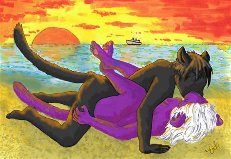 Rule 34 Anthro Beach Beach Sex Felid Feline Female Male Malefemale