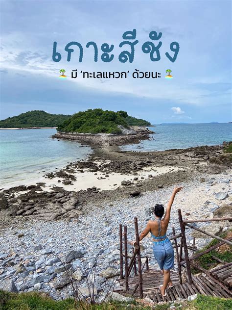 🏝️ ทะเลแหวก เกาะสีชัง แกลเลอรีที่โพสต์โดย Air Lemon8