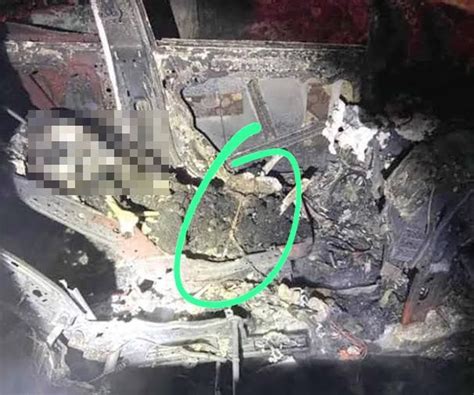 “el Mijis” Estaba Amarrado En La Camioneta “accidentada” Denunció
