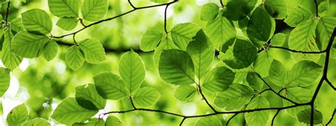 Revident Quadrupole Time Of Flight Lc Ms Lc Q Tof Agilent Act Labeled Products