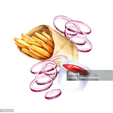 패스트 푸드 양파 조각의 손으로 그린 그림 공예 패키지에 튀긴 감자 흰색 배경에 고립 된 빨간 토마토 Souse 수채화 구성 감자 요리에 대한 스톡 벡터 아트 및 기타