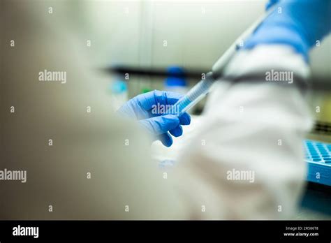 In Vitro Cellular Assay Using Multi Pipette And Well Plate Cell Culture