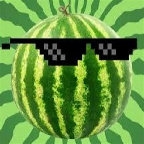That Melon Guy Youtube