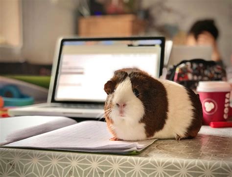my top excel functions for data analysis with examples by margaret