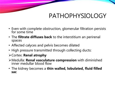 Hydronephrosis And Pyonephrosis Ppt