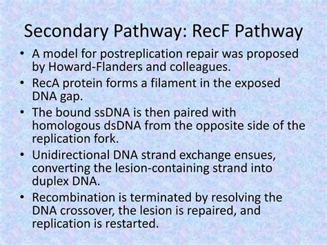 Biology Of Homologous Recombination In Bacteria Pdf Chemistry Science