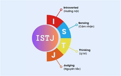 ISTJ là gì Đặc điểm của nhóm chịu trách nhiệm