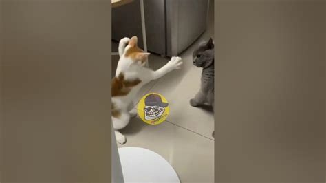 ممكناشتراك اكسبلور ممكنتوصلونيل1000مشترك ميمزضحك Funny ميمزمضحكة ترند ممز عراقي