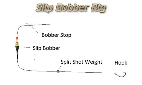Best Bobber Setup For Trout