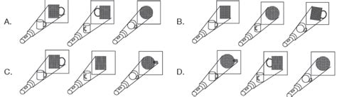 Mcq Questions Class Science