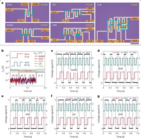 Pseudo Cmos Logic Gates On The Basis Of Monolayer Mos2 Continuous