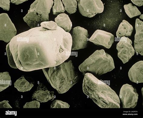 Scanning Electron Micrograph Sem Of Grains Of Sand From San Gregorio Beach South Of San