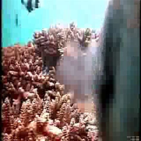 Plasticdetection Object Detection Dataset And Pre Trained Model By Yolo