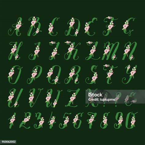 꽃 자연 숫자 앰퍼샌드 및 기호 꽃 손으로 그린 알파벳 글자와 붓글씨 벡터 글꼴 고풍스런에 대한 스톡 벡터 아트 및 기타 이미지 고풍스런 교육 귀여운 Istock