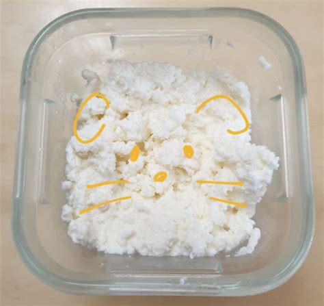 유청으로 리코타 치즈 만들기 그릭요거트 만들고 남은 유청 활용법 네이버 블로그