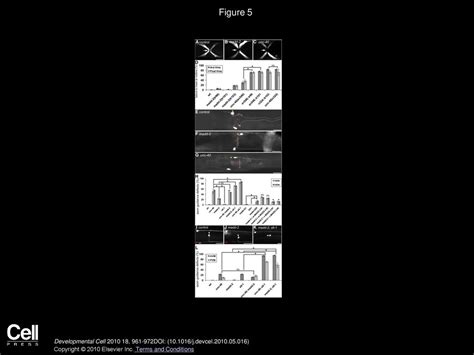 Volume Issue Pages June Ppt Download