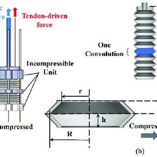 Working Principle Of The CBA A Mechanism Of The CBA B Geometrical Download Scientific