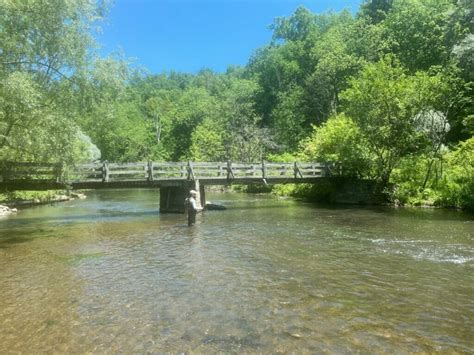 Chasing Wild Trout On Pennsylvanias Storied Spring Creek Trout Unlimited