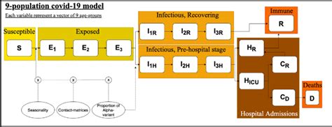 Flowdiagram Of The System Of The Differential Equations Of This Study
