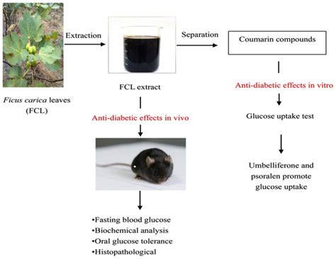 Chemical Constituents And Antidiabetic Activity Of Dichloromethane Extract From Ficus Carica