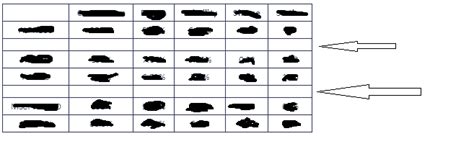 Css R Shiny Remove Specific Rows Borders In Table Stack Overflow
