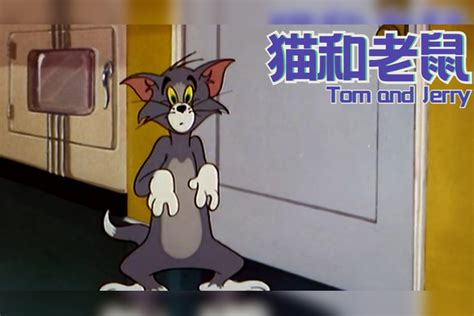 猫和老鼠：成语小课堂开课啦，快来看看属于汤姆的捕鼠之路吧汤姆课堂成语