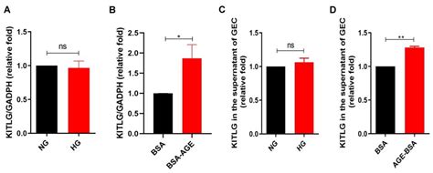 Ijms Free Full Text Kitlg Promotes Glomerular Endothelial Cell