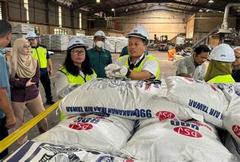 Dakwaan Ikan Diberi Makan Pelet Plastik Tidak Benar Suara Merdeka