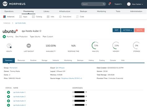 Instance Details Morpheus Docs Documentation
